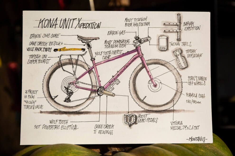 Roost Titanium Riser Handlebars - Roost bike