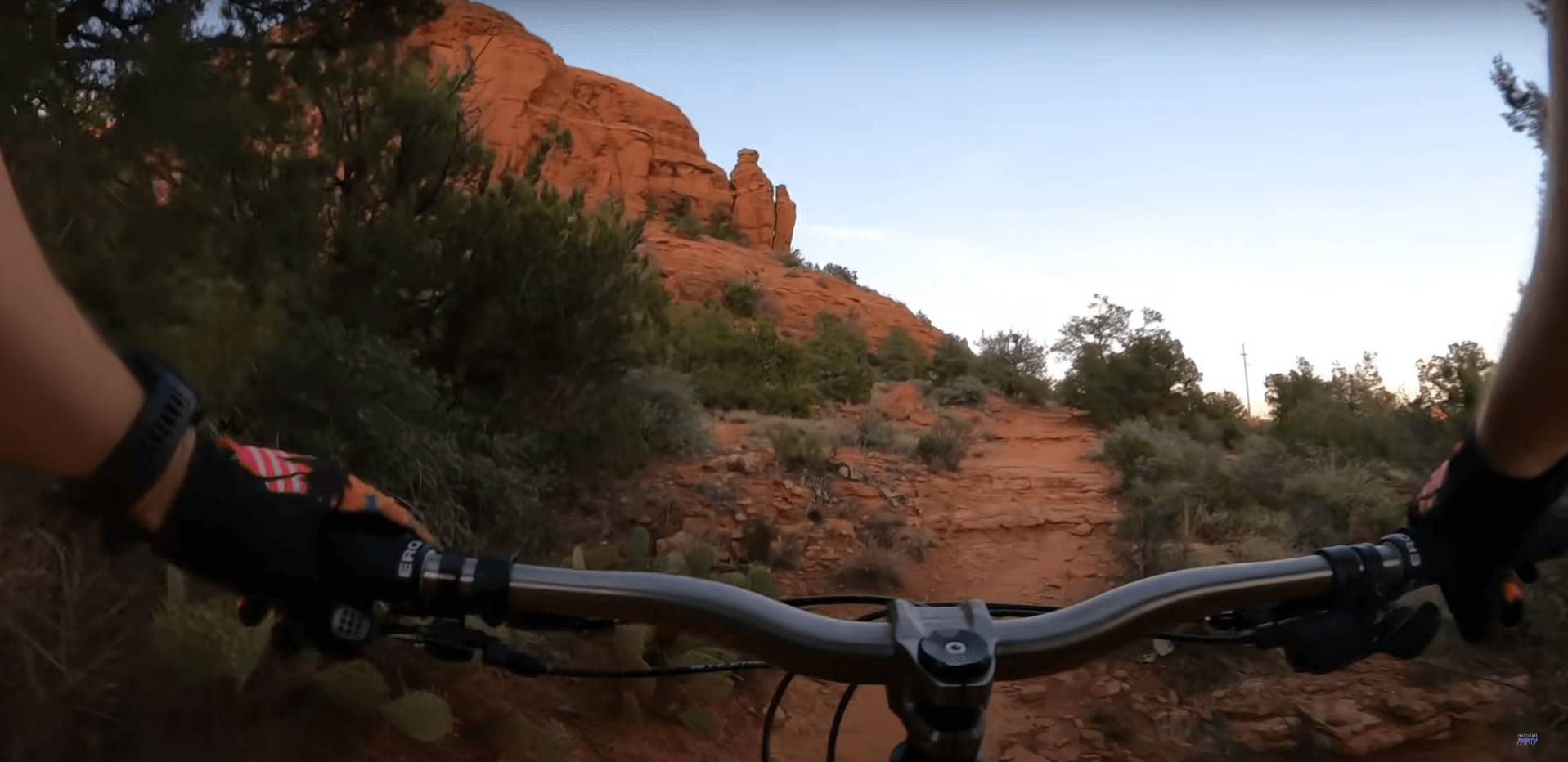 Roost Titanium Riser Handlebars - Roost bike